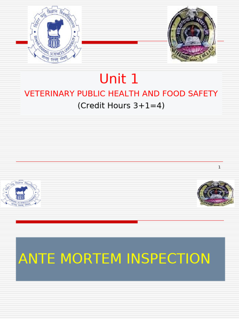 Ante Mortem Examination 1 | PDF | Slaughterhouse | Animal Slaughter