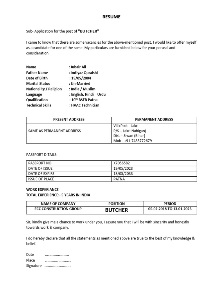 Jubair CV | PDF