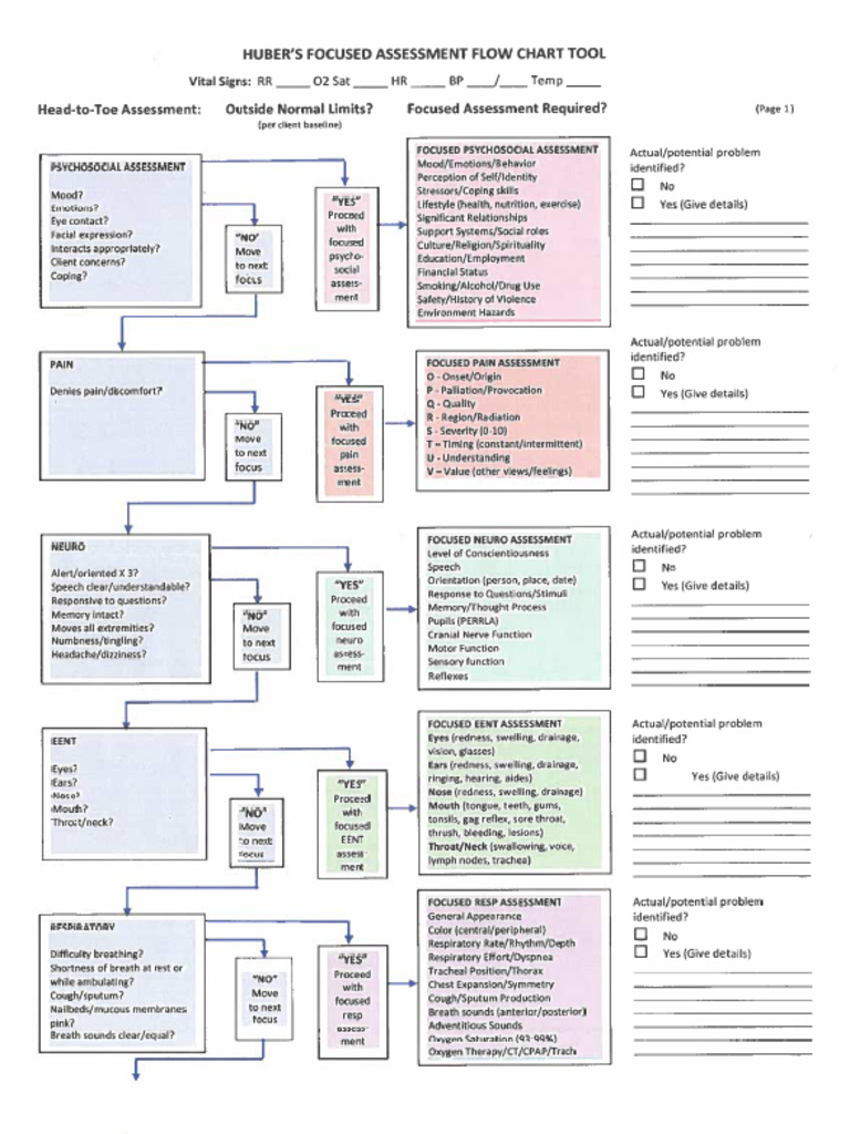 Head To Toe Assessment | PDF