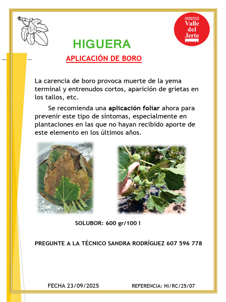 Aplicación Boro Foliar RC7 | PDF