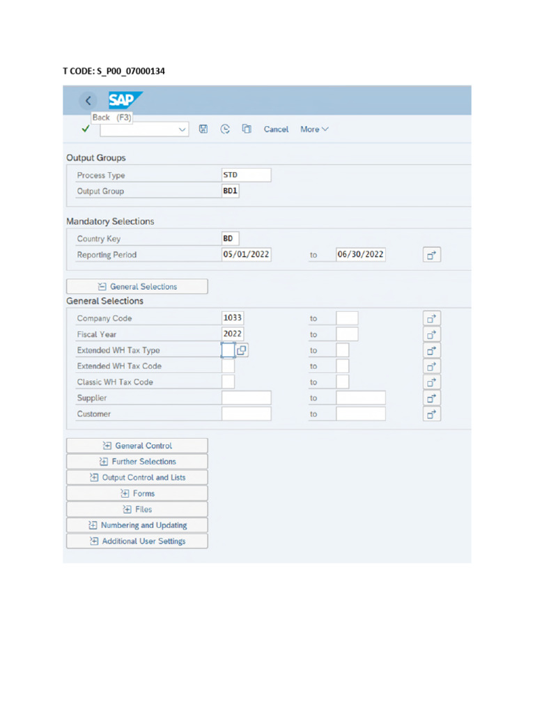 SAP Challan Testing: T CODE: S - P00 - 07000134 | PDF