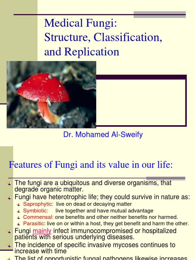 (10) Fungal Classification, Structure, And Replication | Fungus | Mold