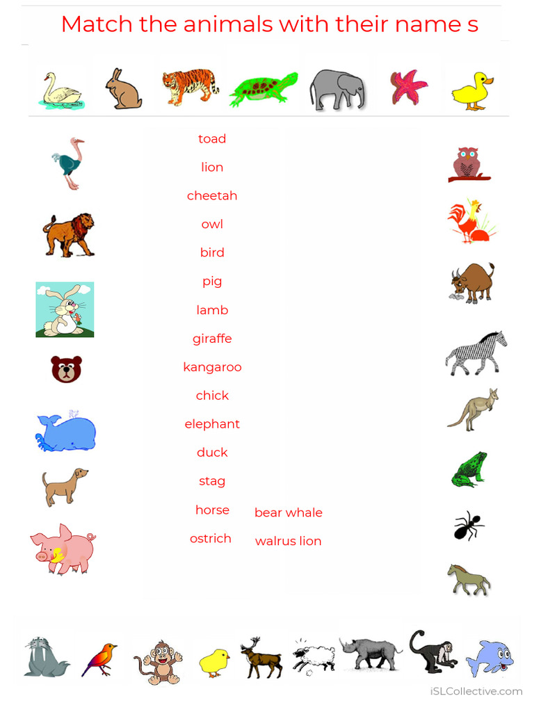 Animals PDF | PDF