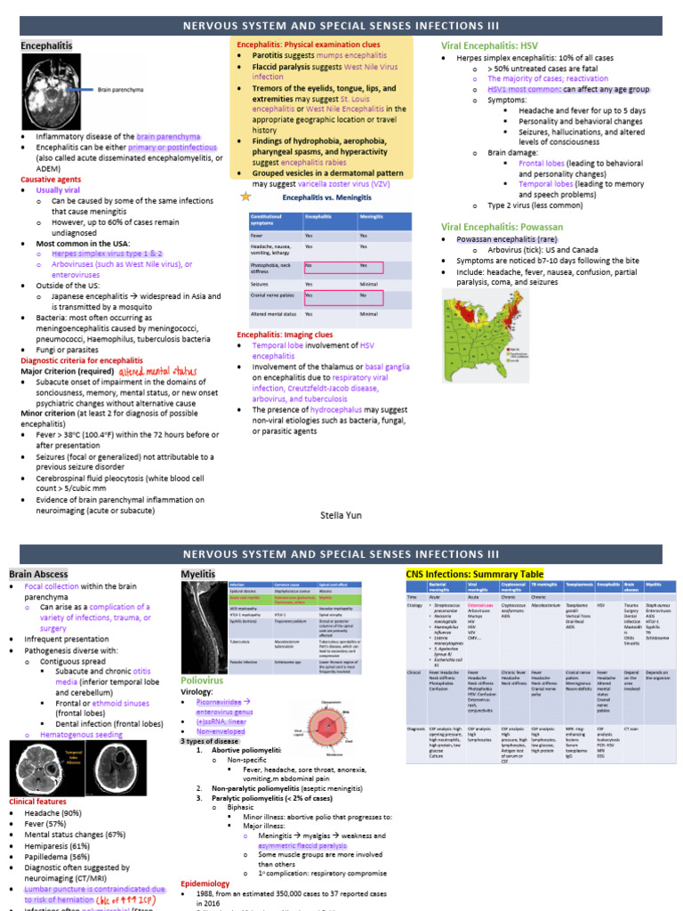 Nervous System Infections 3 | PDF | Diseases And Disorders | Human ...