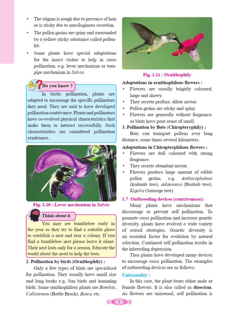 Pollination Mechanisms in Plants | PDF | Seed | Fertilisation
