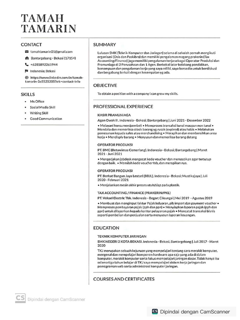 CV Tamah Tamarin | PDF