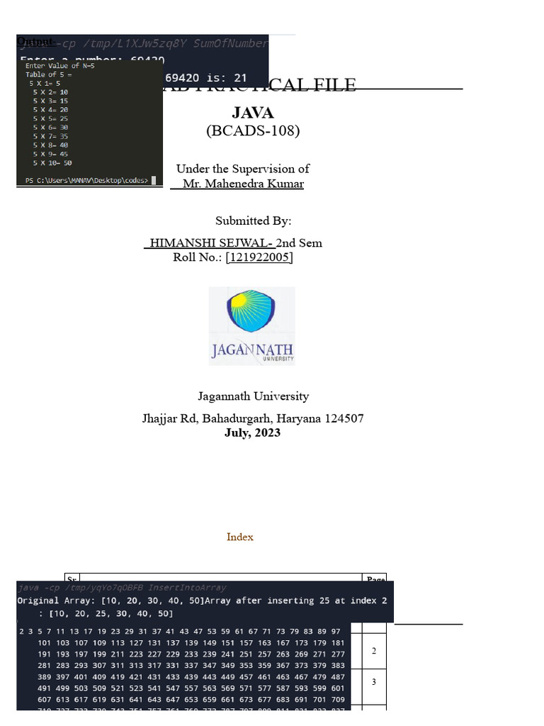 Java Lab Practical Programs Guide | PDF