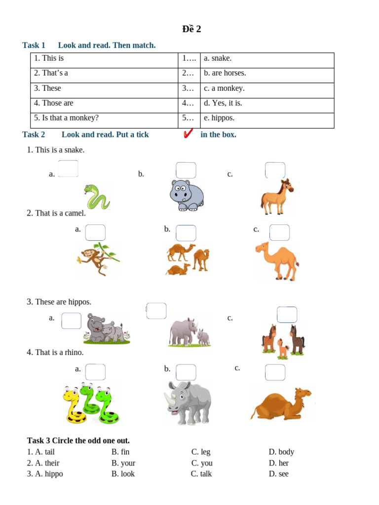 ĐỀ CƯƠNG WW4 | PDF | Zoology