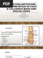 X-Ray Positioning for Toes and Sesamoids | PDF