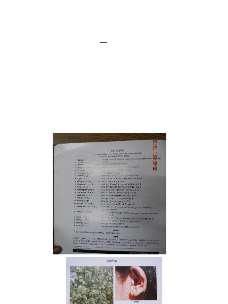 Presentation 1 | PDF