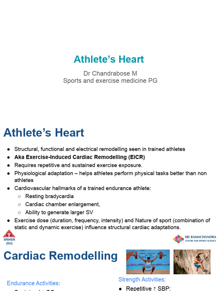 Athlete's Heart | PDF | Heart | Diastole