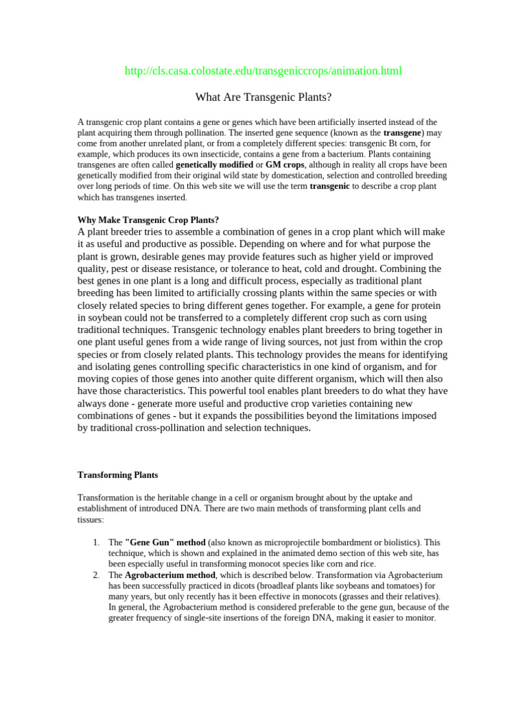 Transgenic Plants. and Animals | PDF | Genetically Modified Crops ...