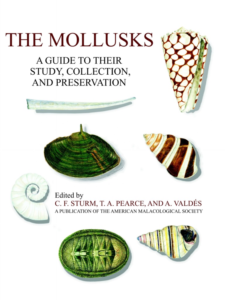 The Mollusks: A Guide To Their Study, Collection, and Preservation ...