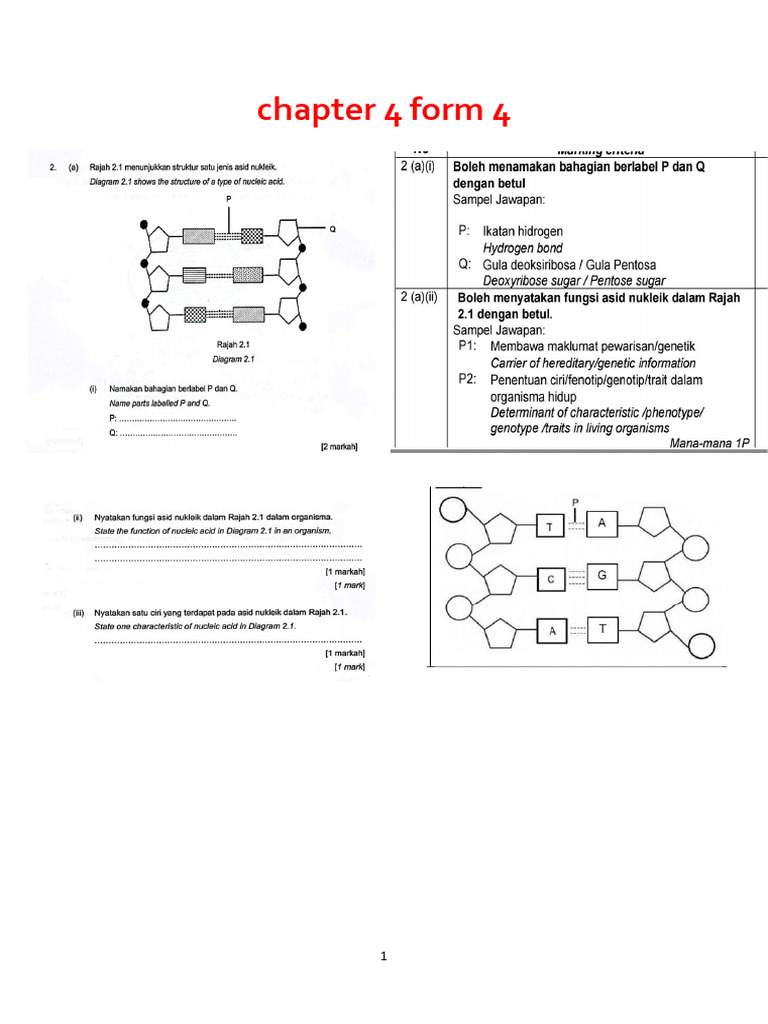 Nota Ringkas | PDF | Skeleton | Skeletal System