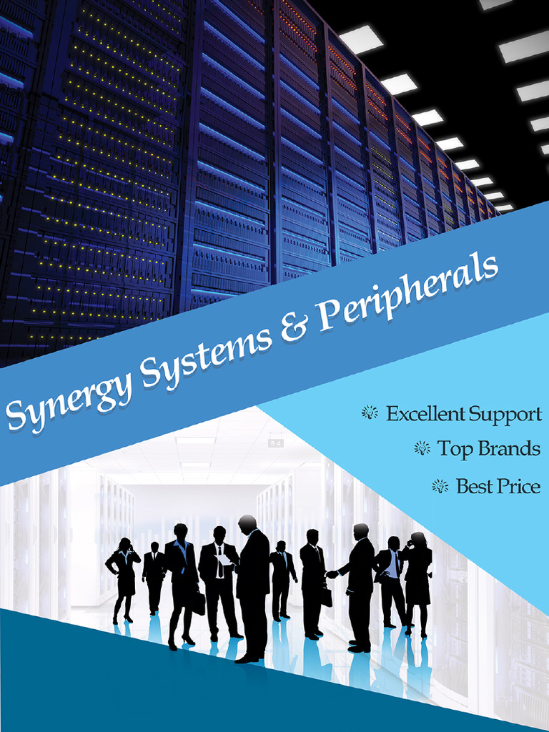 Synergy Profile | PDF