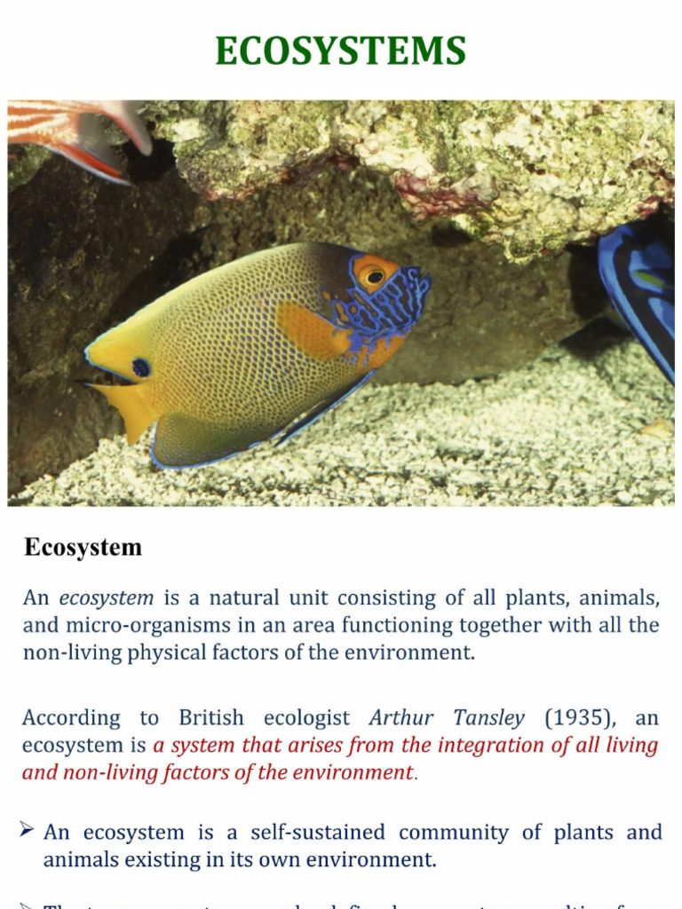 Ecosystem | PDF