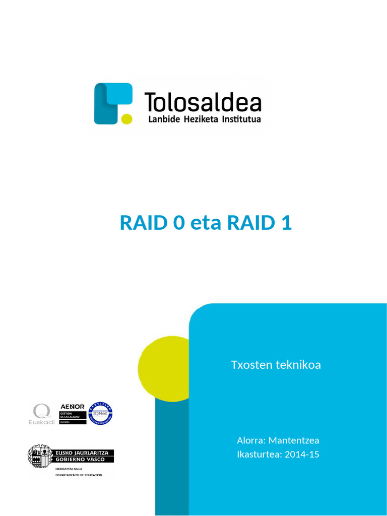 Raid | PDF