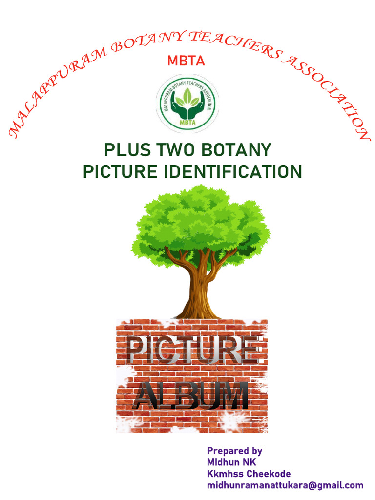 Plus Two Botany Picture Album@2025 | PDF | Flowers | Branches Of Botany