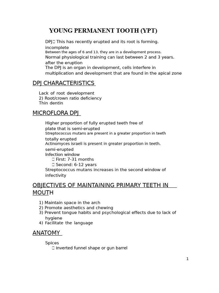 Young Permanent Tooth | PDF | Mouth | Tooth