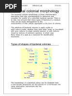 Bacterial Colony Morphology Guide | PDF | Organisms | Nature
