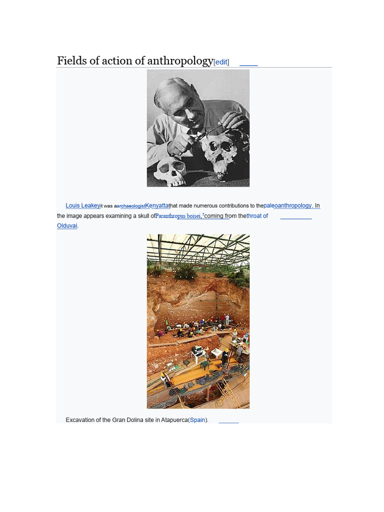 Fields of action of anthropology | PDF | Anthropology | Linguistics