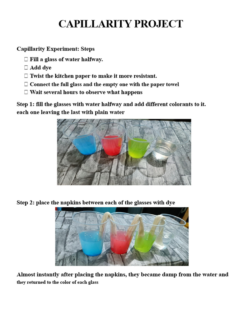 Capillarity project | PDF