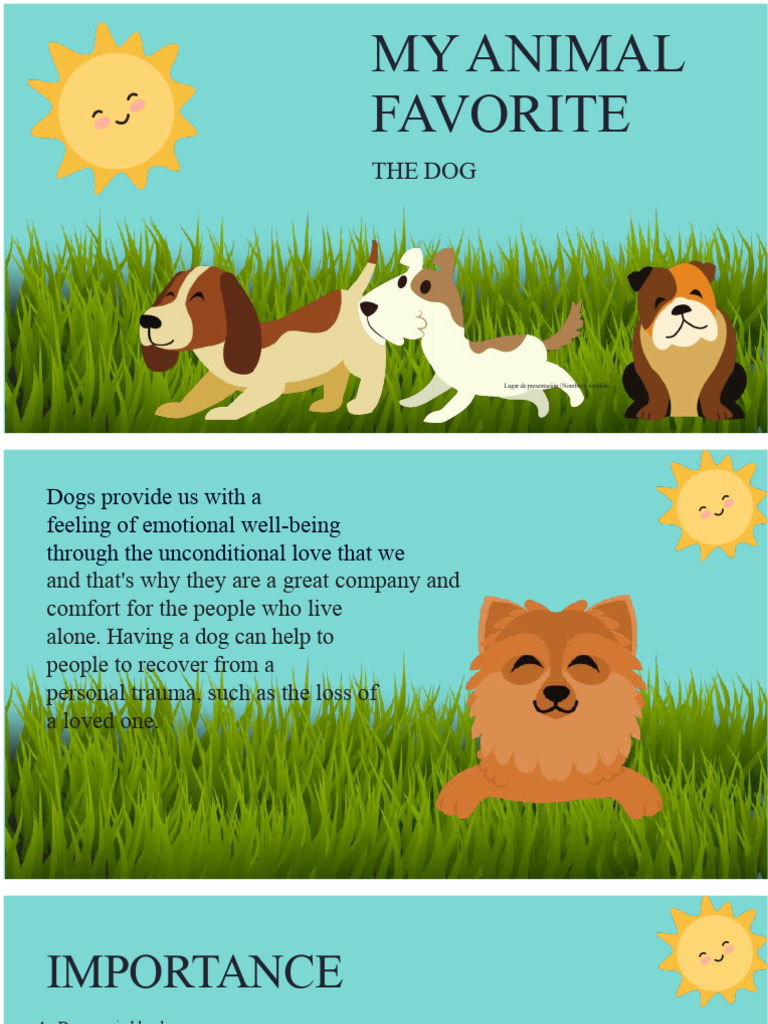 My Favorite Animal | PDF