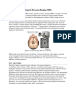 Radiology Essential Mri Charts | PDF | Magnetic Resonance Imaging | Aorta