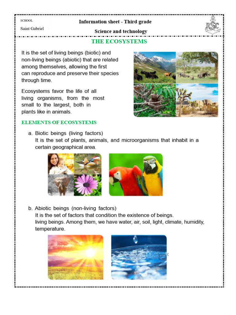 Ecosystem Information Sheet | PDF | Ecosystem | Aquatic Ecosystem