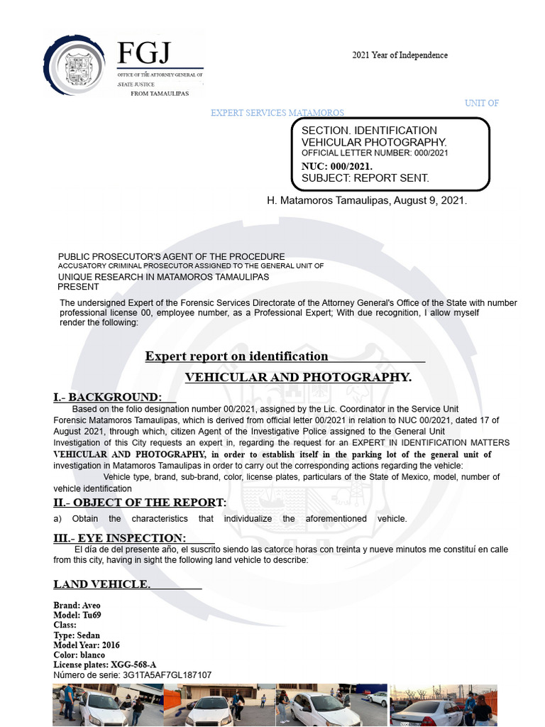 Forensic Vehicle Identification Report | PDF | Forensic Science