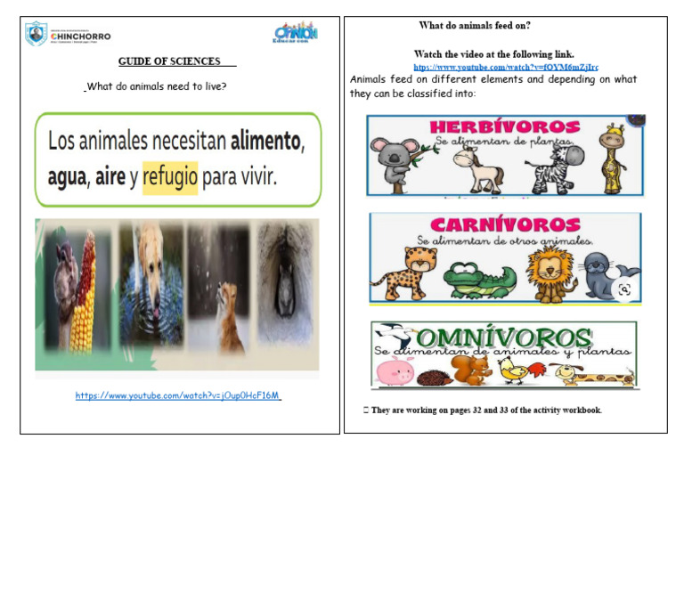 Natural Sciences. Needs of Animals | PDF