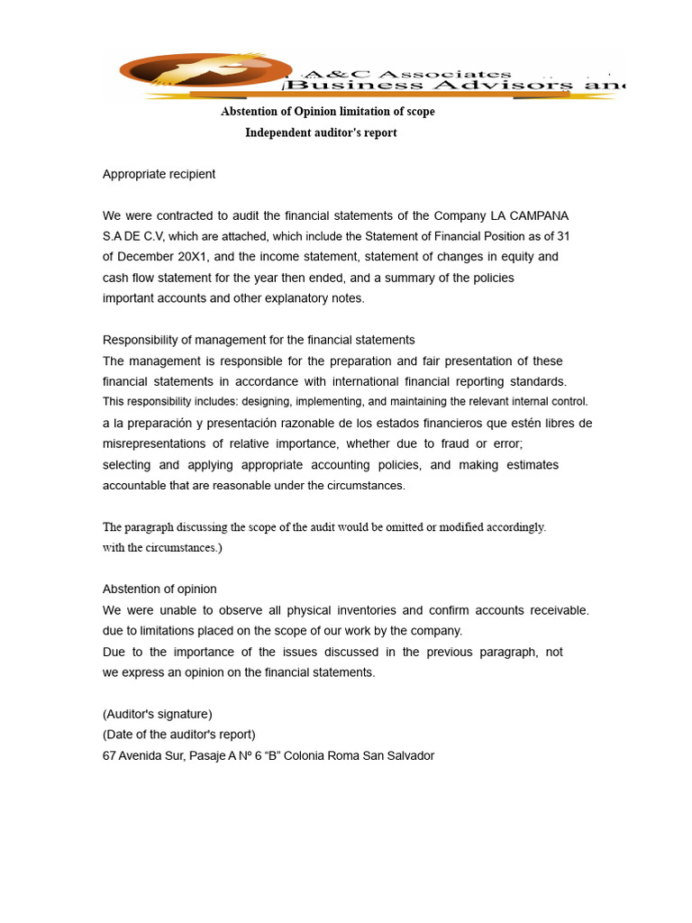 Auditor's Opinion Abstention Limitation on Scope | PDF