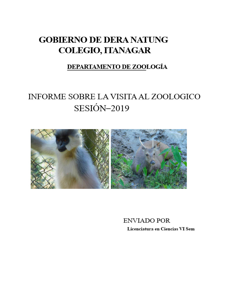 Informe Sobre La Visita Al Parque Zoológico-2 | PDF | Leopardo | zoo