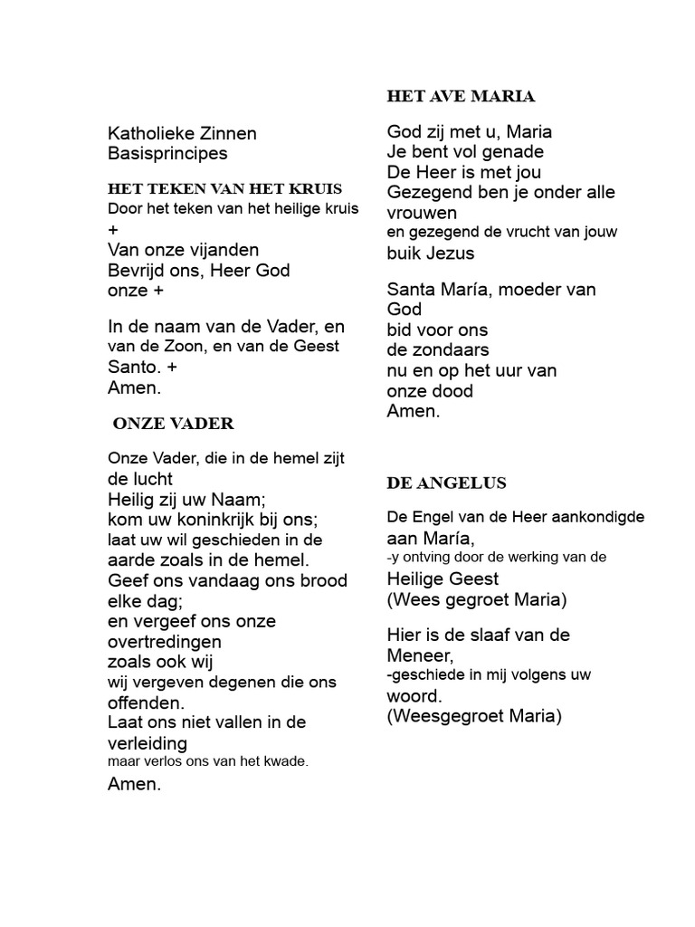 Basiszinnen | PDF