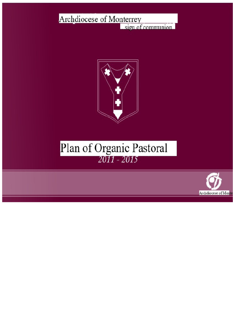 Cap 5 Our Pastoral Structure | PDF | Catholic Church | Laity