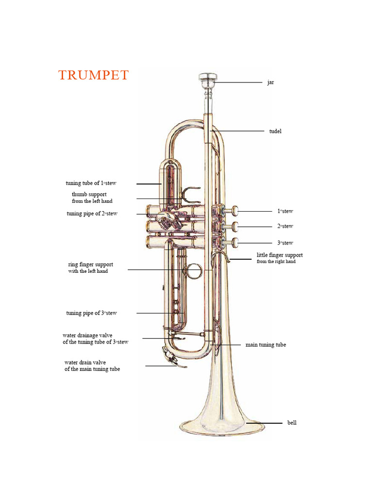Trumpet Introduction | PDF | Trumpet | Clef