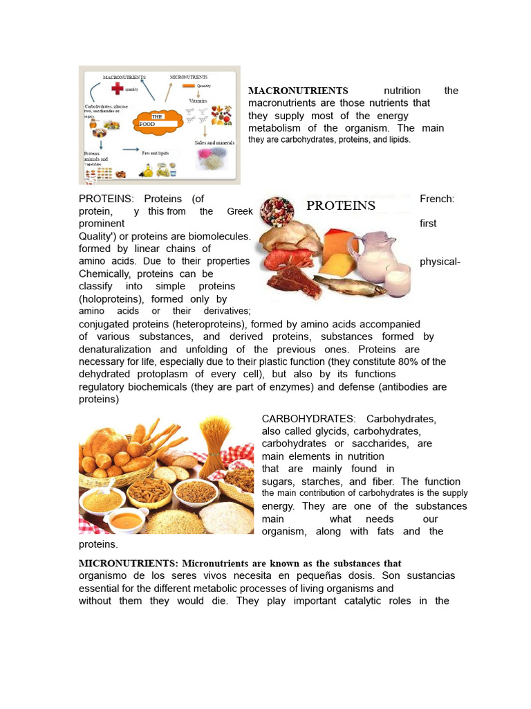 Understanding Macronutrients and Micronutrients | PDF | Nutrients ...