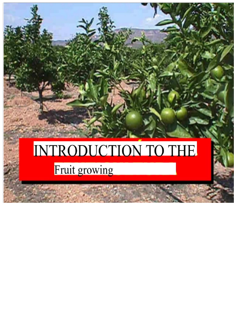 Importance of Fruit Growing and Nutrition | PDF | Fruit | Temperate Climate