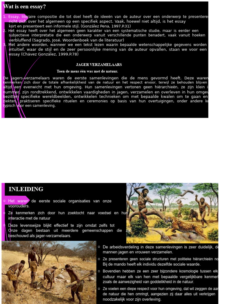 Essay Jagers Verzamelaars | PDF