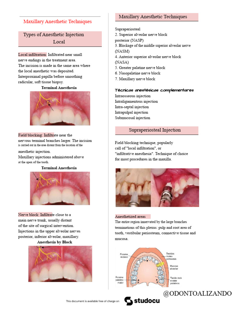 Maxillary Anesthetic Techniques PDF | PDF | Anesthesia | Injection ...