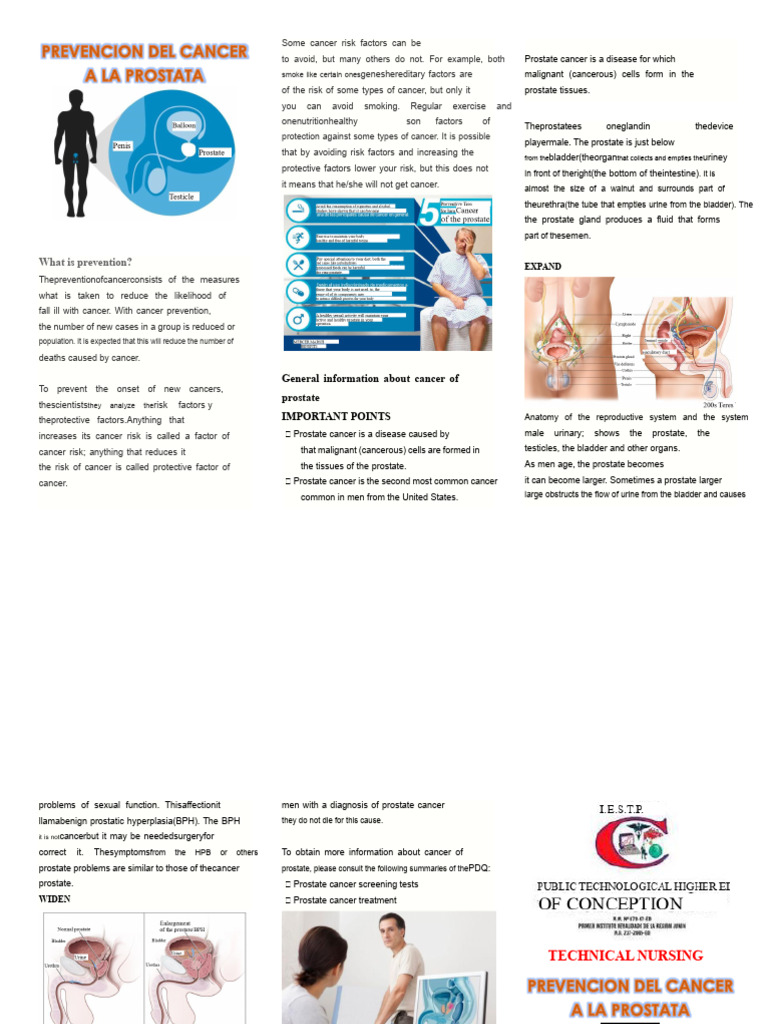 Prostate Cancer Risk Factors and Prevention | PDF | Prostate | Cancer