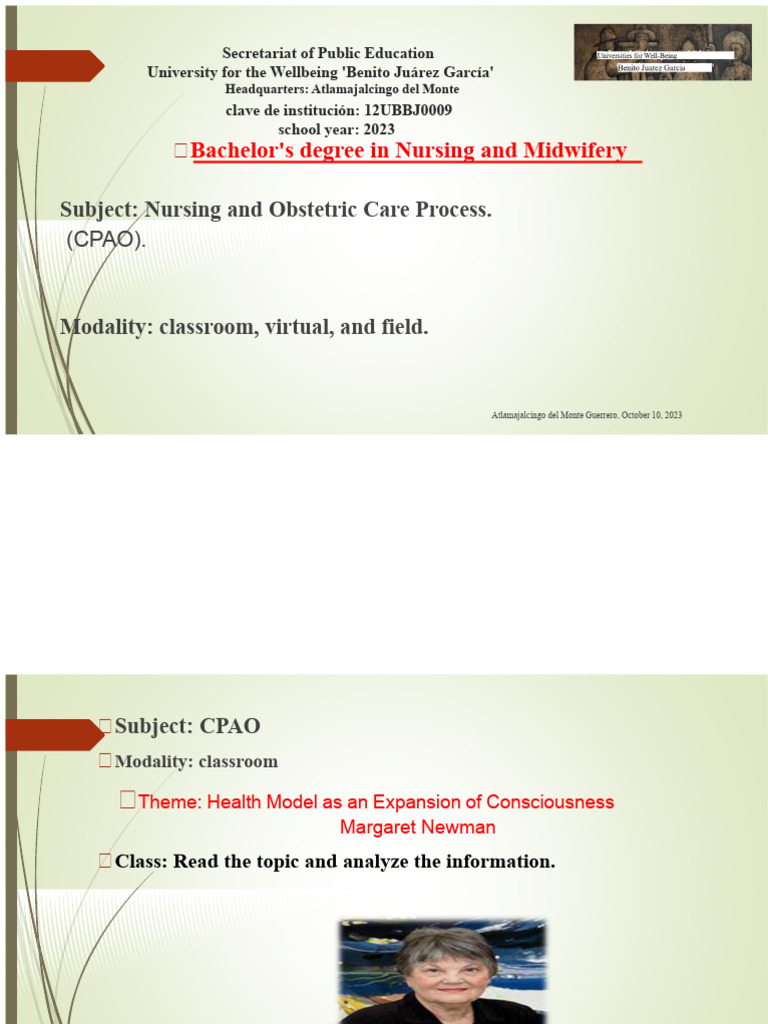 Newman's Health Model Overview | PDF | Consciousness | Nursing