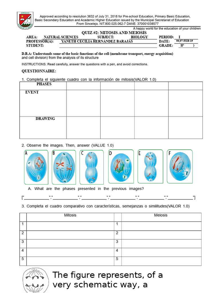 Quiz #2 Mitosis and Meiosis | PDF | Mitosis | Meiosis