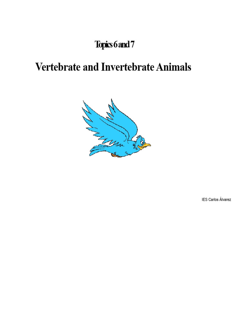 Vertebrate vs Invertebrate Animals Guide | PDF | Invertebrate | Zoology