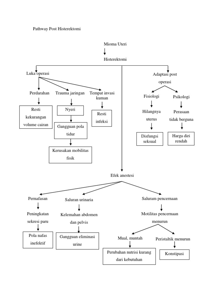 Pathway Post Histerektomi | PDF