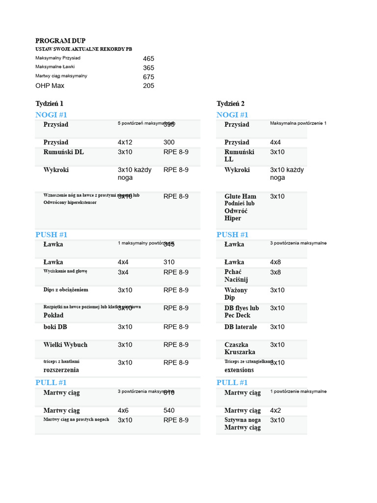 Program DUP Davida Laida | PDF