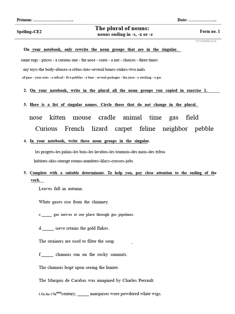 Plural Form Sheet Nouns S X Z | PDF