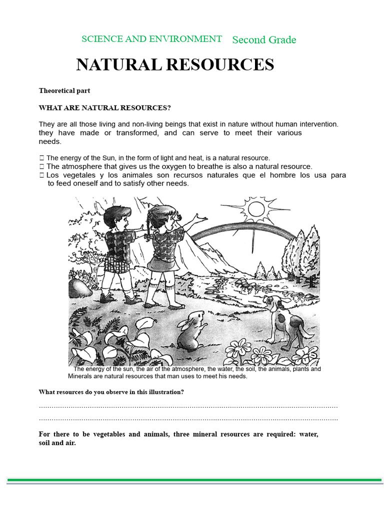 Understanding Natural Resources for Kids | PDF