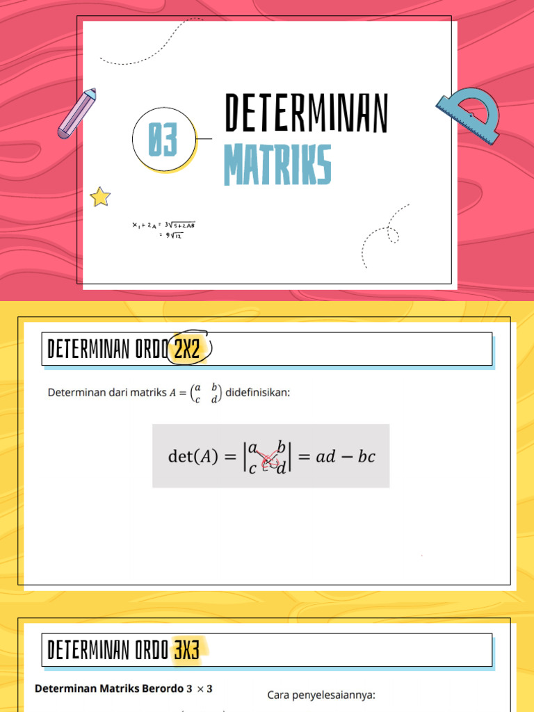 Determinant Matrix Solutions Guide | PDF