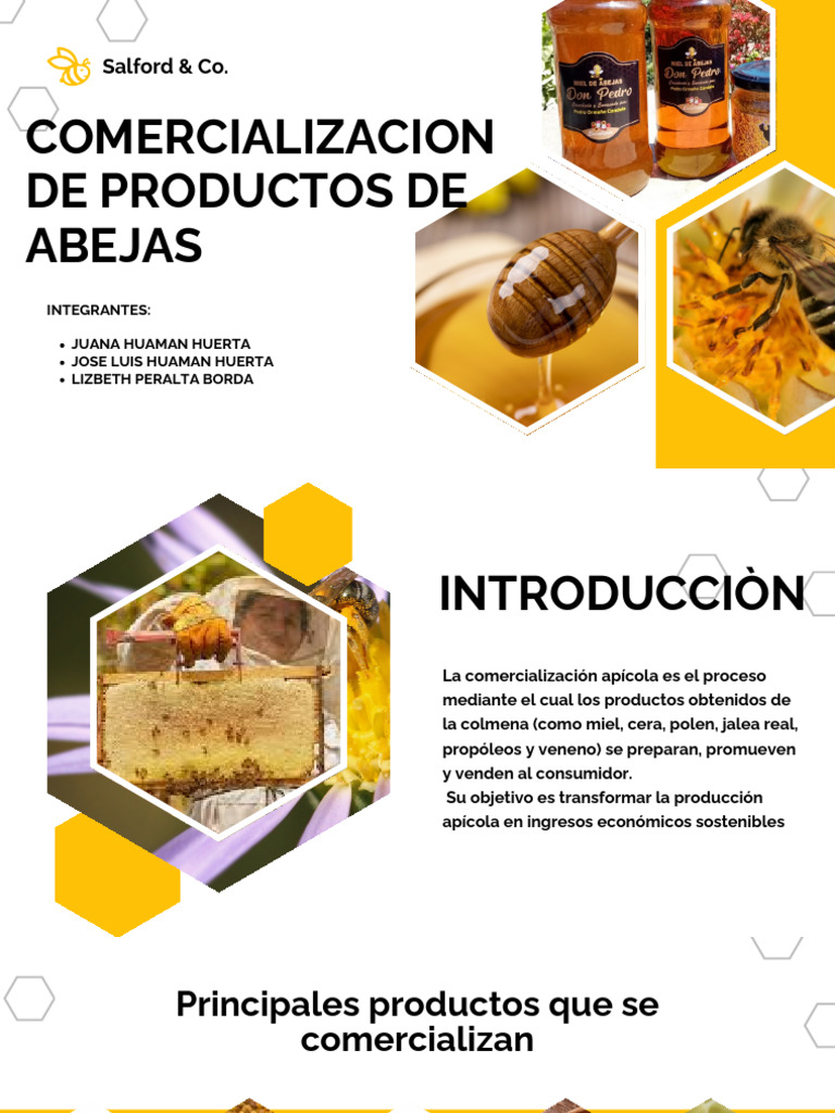 White Yellow Modern Geometric Honey Bee Presentation | PDF | Apicultura ...